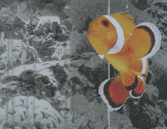 Find out about the first high opacity printable film from HEXIS - HEXIS ...